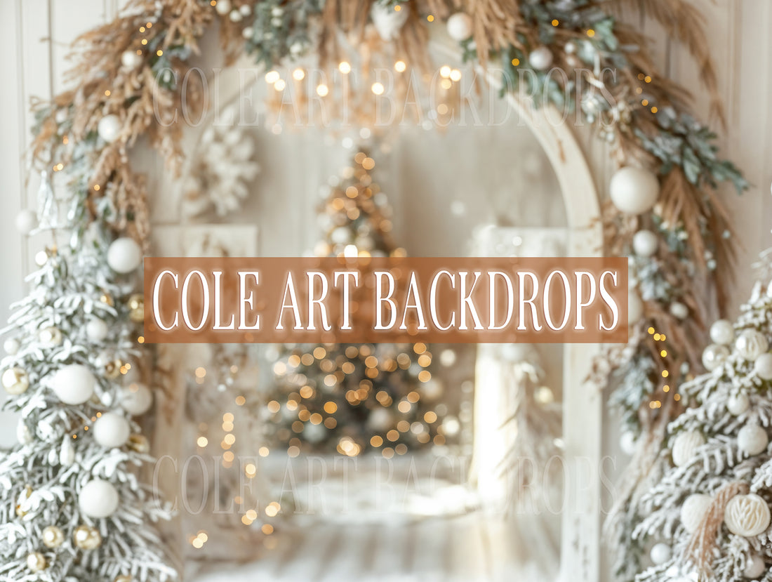 A Holiday Blur 16 Christmas Backdrop, Christmas Background – Cole Art ...