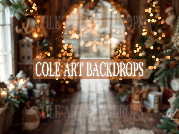 A Holiday Blur 6 Christmas Backdrop, Christmas Background – Cole Art ...