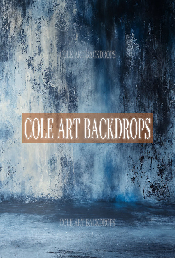 Studio Backdrops 15, Printed Backdrop, Fabric Backdrops, Sweep Backdro ...