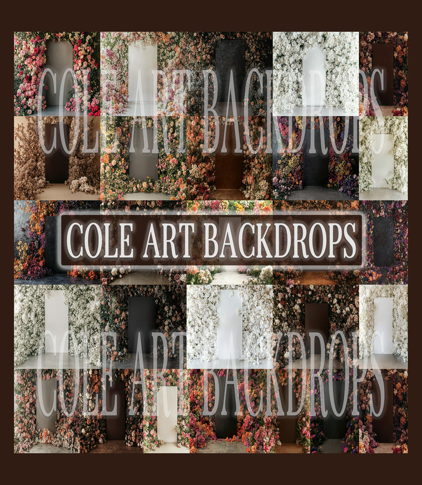 Neutral Panels Digital Backdrop Set – Cole Art Backdrops