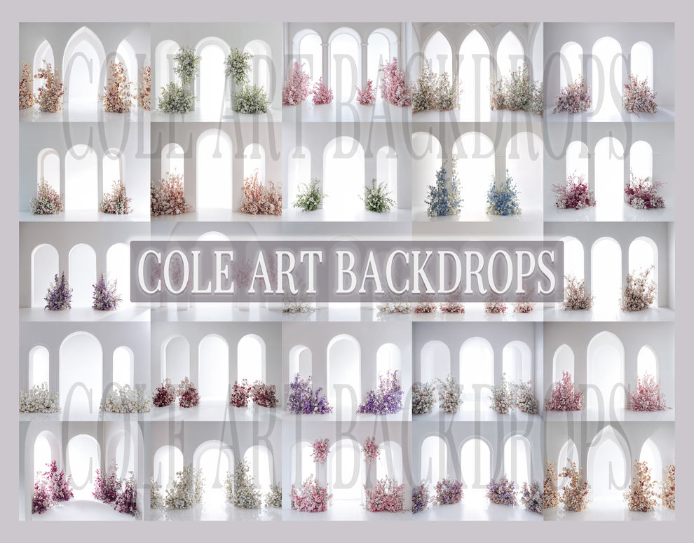 Three Backlit Arches Digital Backdrop Set – Cole Art Backdrops