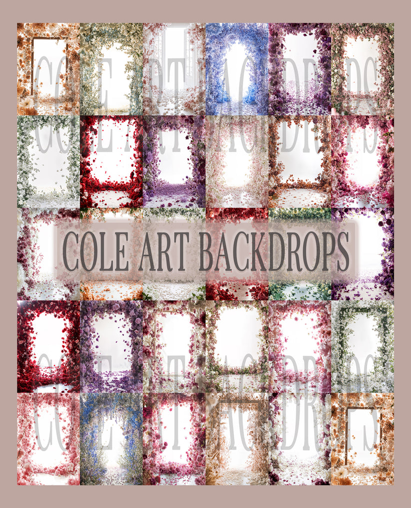 Backlit Frames Digital Backdrop Set – Cole Art Backdrops