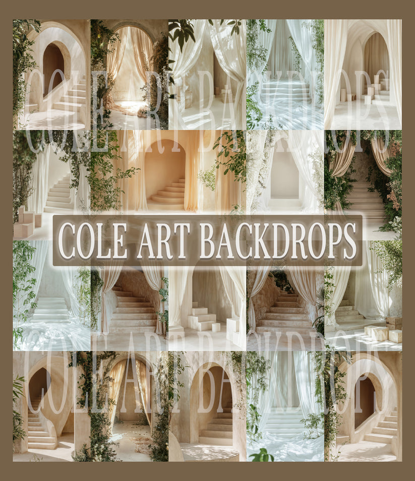 Neutral Arches Digital Backdrop Set – Cole Art Backdrops