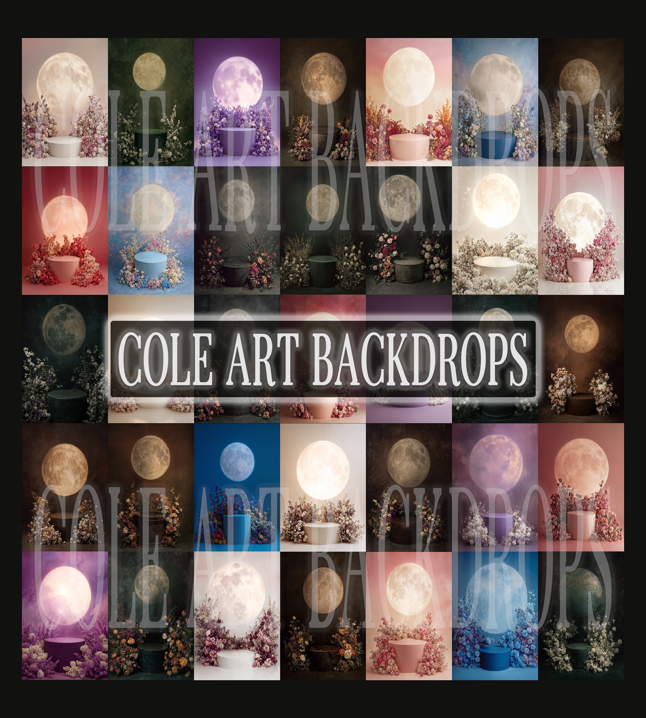 Moon Bella Digital Backdrop Set – Cole Art Backdrops