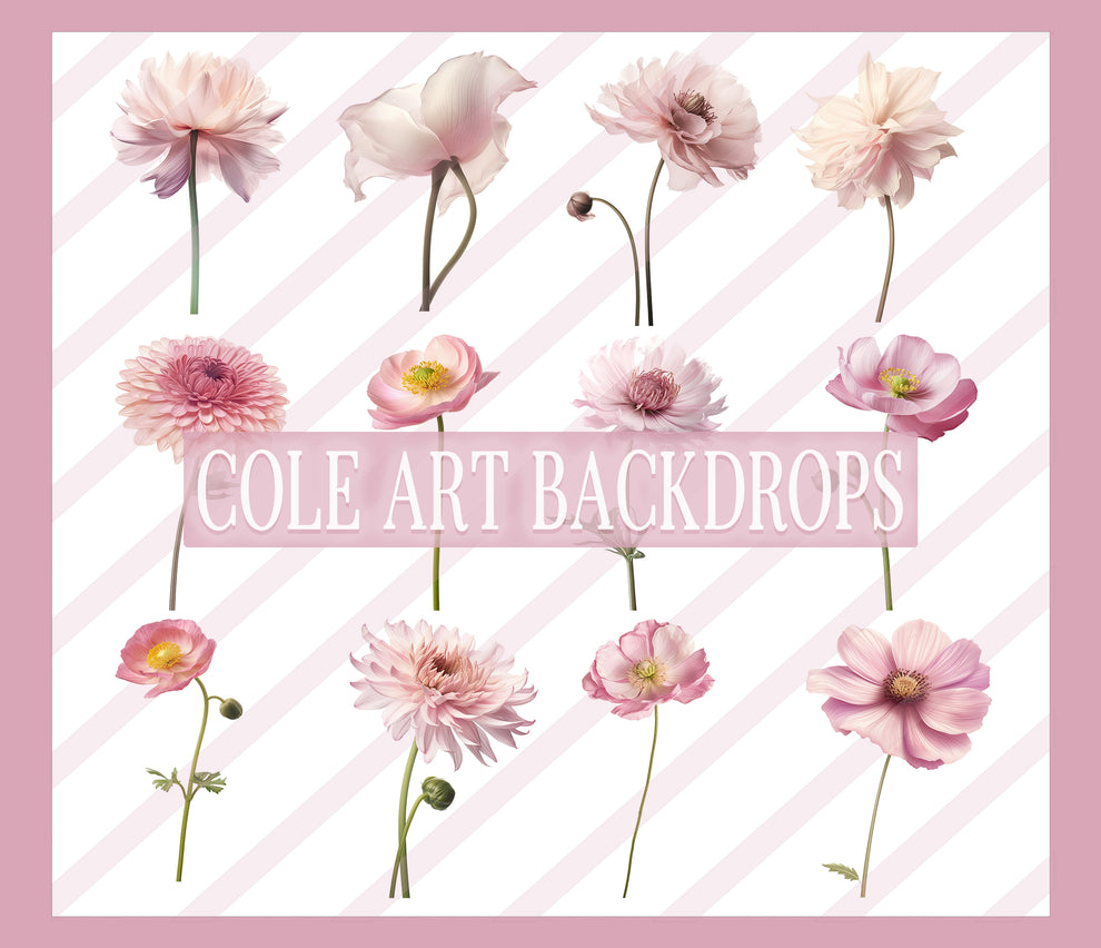 Pink Flower Overlays, Maternity Overlays, Floral Clip Art, Floral Grap ...