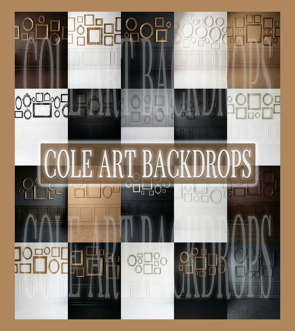 Wall Frames Digital Backdrop Set – Cole Art Backdrops