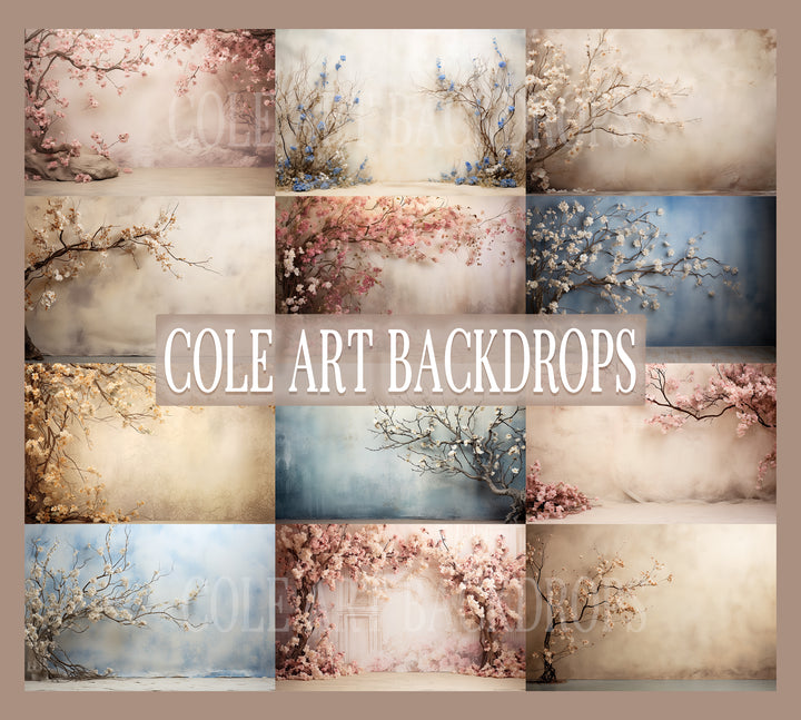Digital Backdrops – Cole Art Backdrops