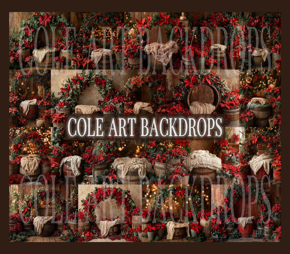 Baby Poinsettia Digital Background, Newborn Backdrops Set – Cole Art ...