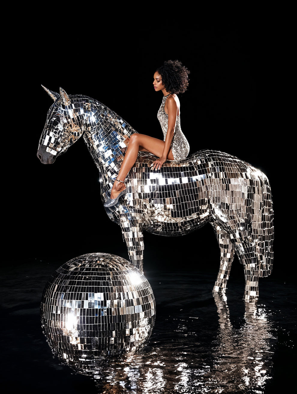 Renaissance Horse Digital Backdrop Set – Cole Art Backdrops